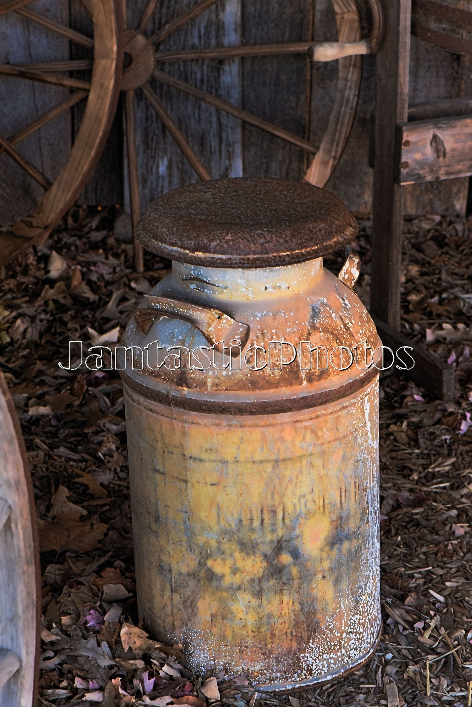 Milk Can Photograph Dairy Farm Antique Instant Download Photo - Etsy