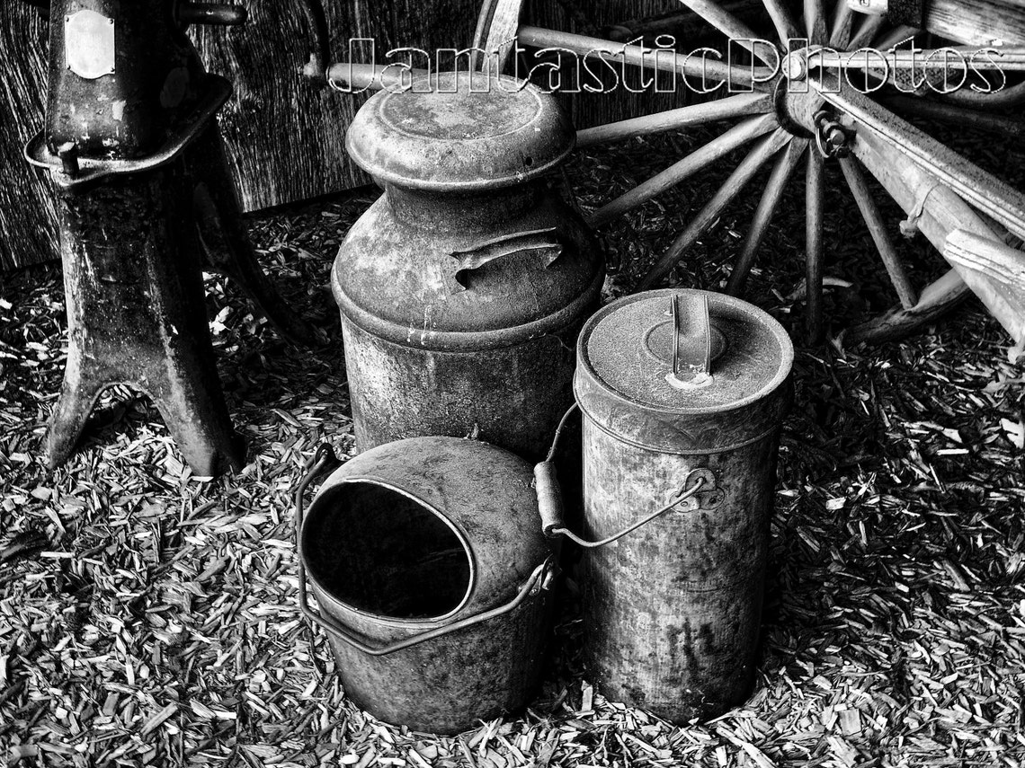 Dairy Farm Milk Can Photograph Antique Cream Milking Bucket Instant ...