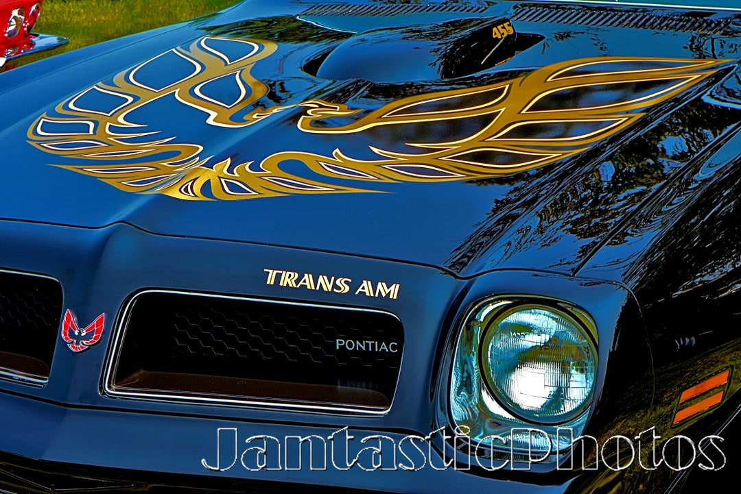 Pontiac Firebird Trans Am Photograph 1976 Screaming Eagle Emblem ...