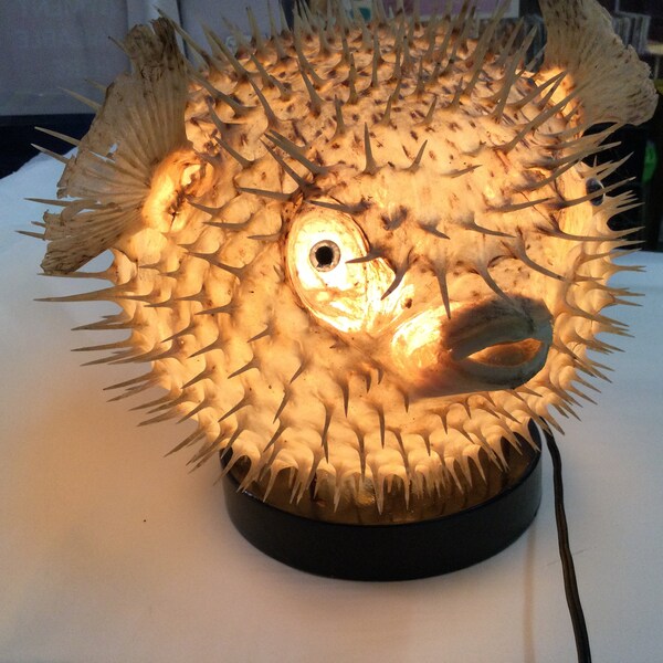 Fish Lamp - Etsy