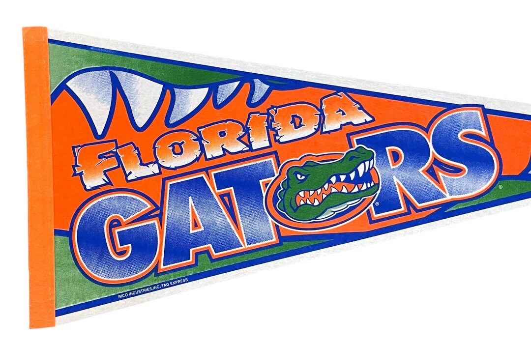 Vintage University of Florida Gators Full Sized 29 Inch Football ...