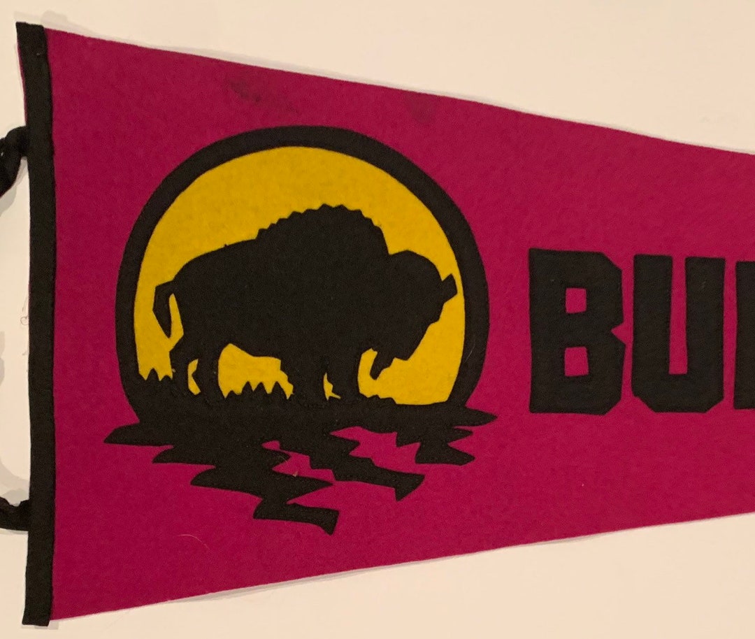 Spectacular Circa 1920's Colorful Buffalo New York Sewn Letter 33.5 ...