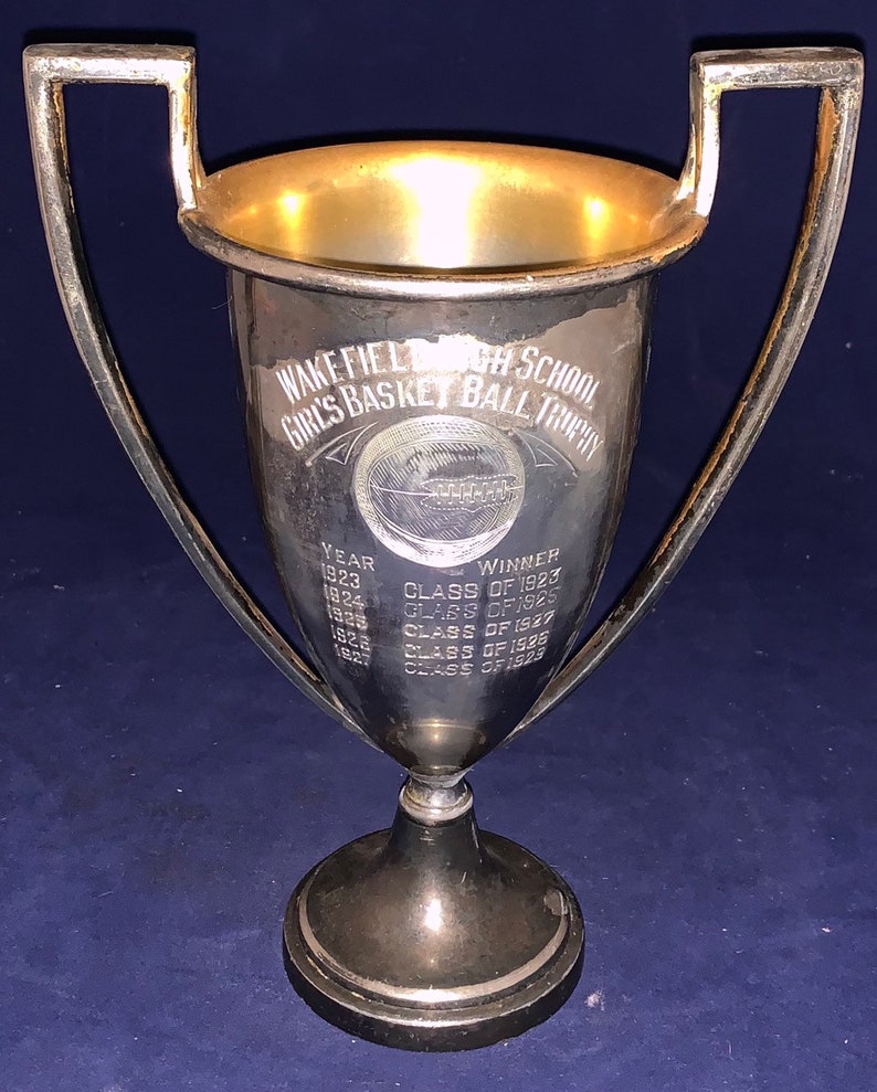 Fantastic 1923 Michigan Upper Peninsula Girls Basketball | Etsy