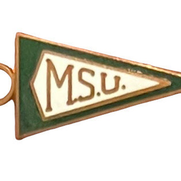 Michigan Pennant - Etsy