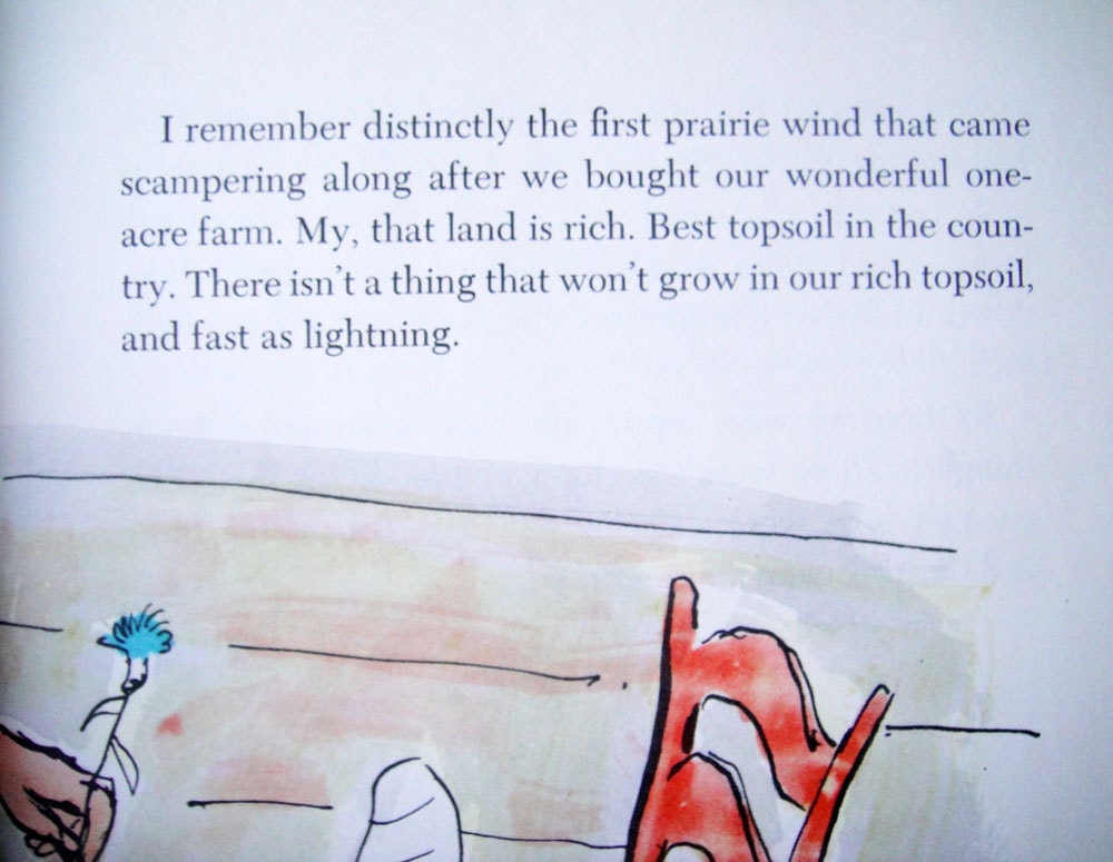 Books for Kids Mcbroom and the Big Wind Vintage 1960's - Etsy