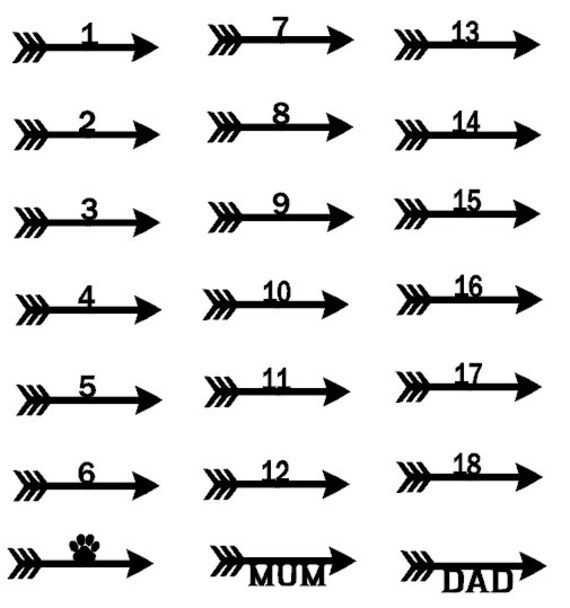Height chart yearly arrows vinyl sticker decal. Growth chart. | Etsy