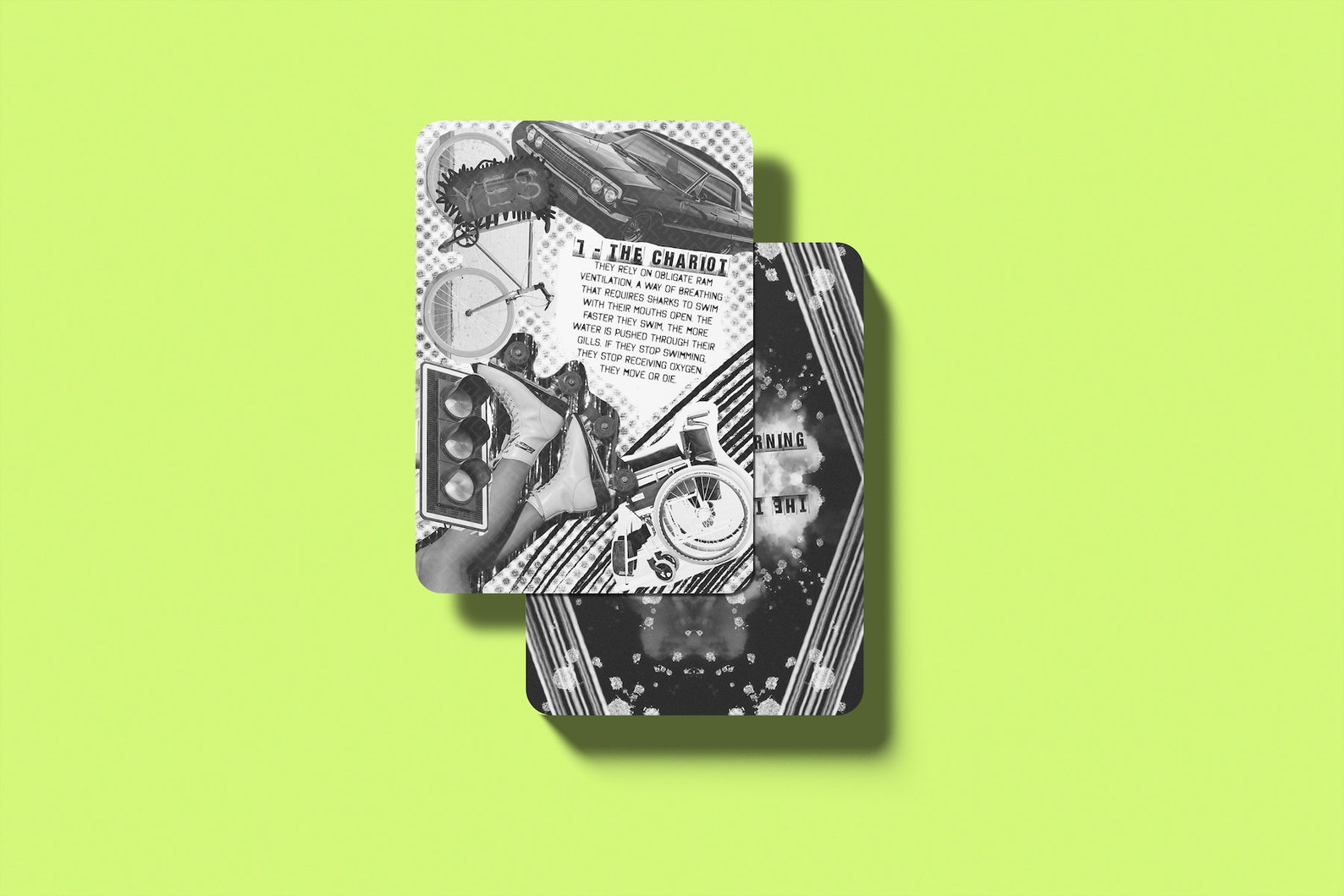 Turning Terrestrial Tides Tarot - Etsy
