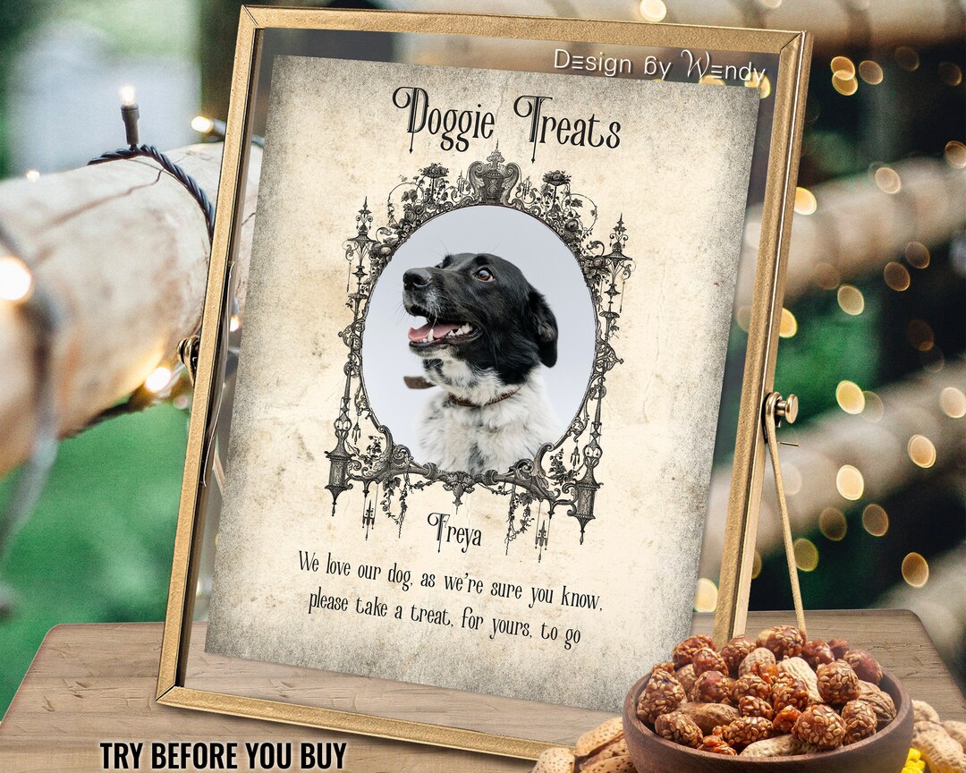 Biscuit Bar Sign With Dog Cat Photo. Wedding Pet Treats, Dog Favors ...
