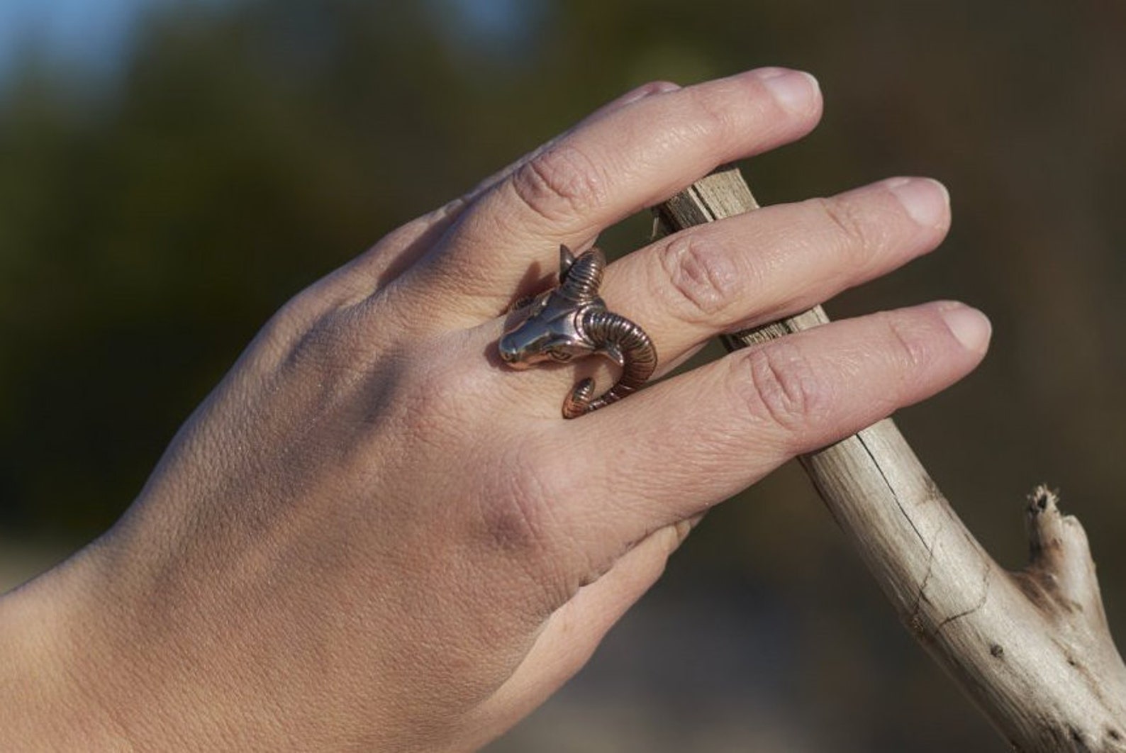 Ram Ring for Men and Women Aries Ring Ram / Aries Jewelry - Etsy