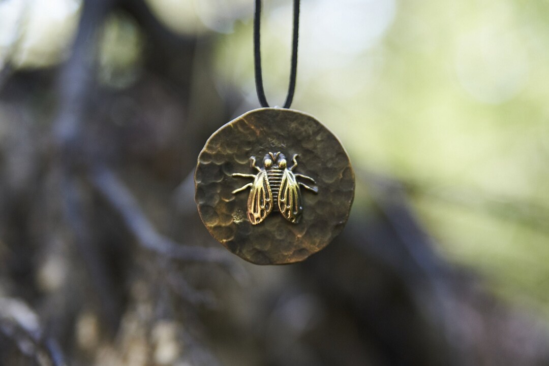 Handmade Fly Pendant Necklace, Oxidized Bronze, Fly / Insec Jewelry ...