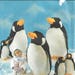 Vintage Simplicity Pattern 8212: Large and Small Stuffed Penguins. Ff ...