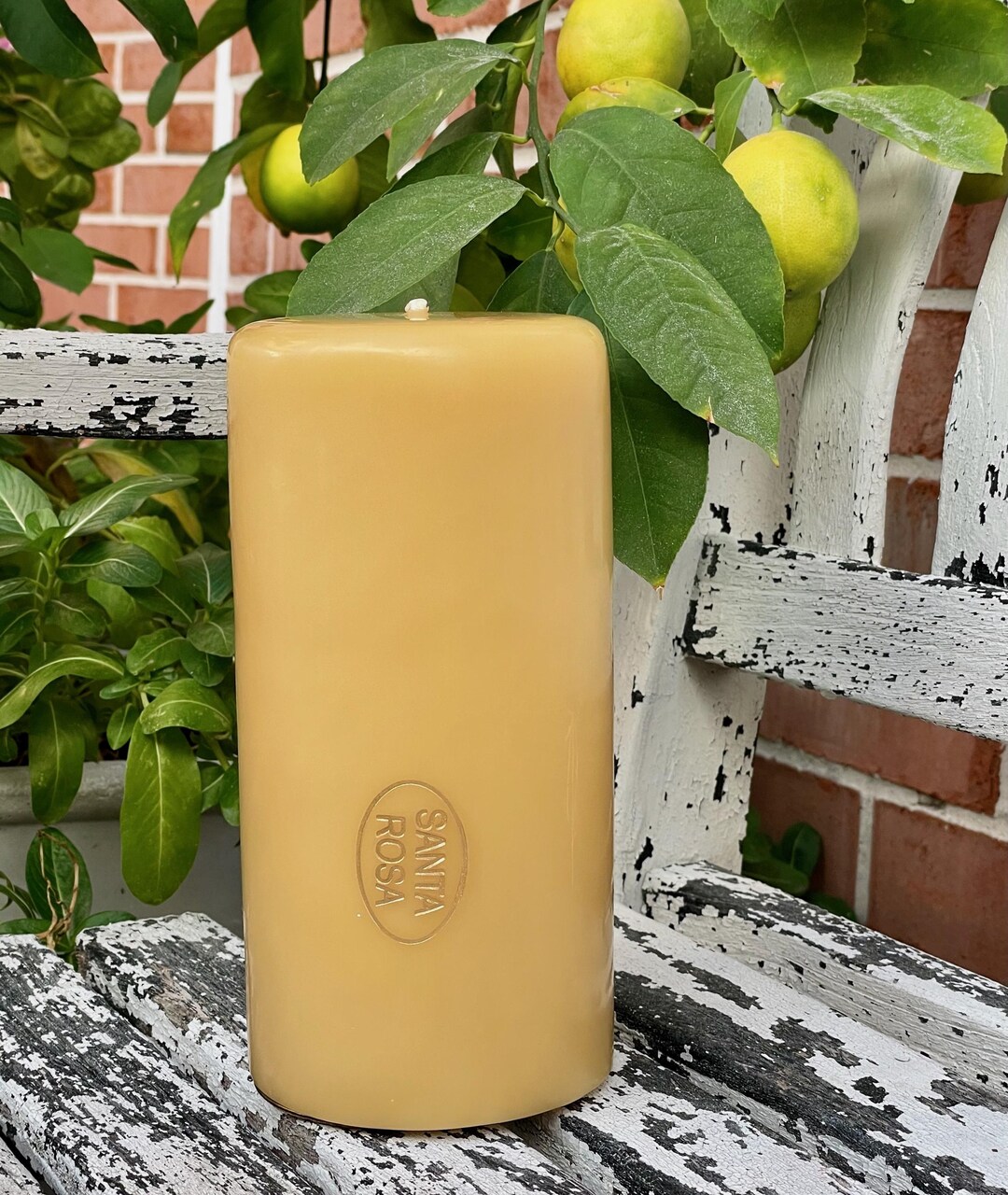 Santa Rosa Candles 4"x8" Pillar - Etsy