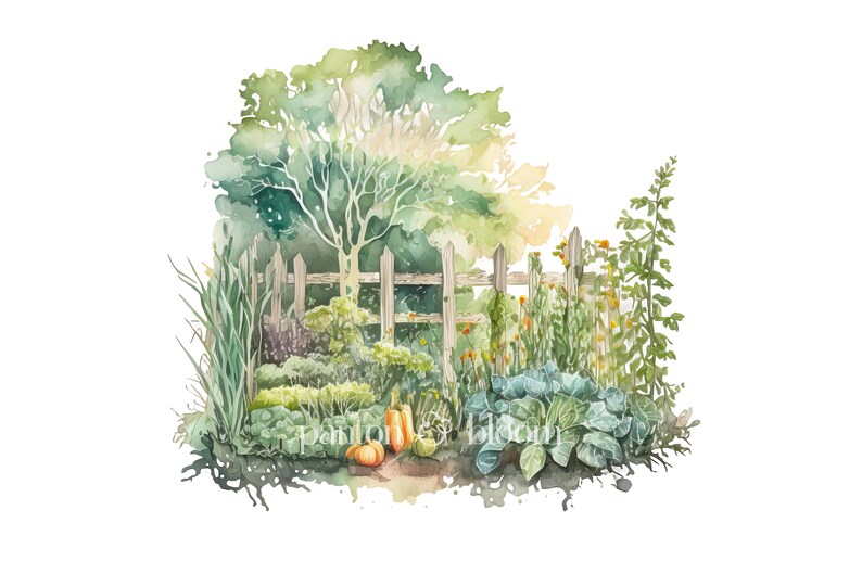 Vegetable Garden PNG Clipart Watercolor Landscape Instant - Etsy
