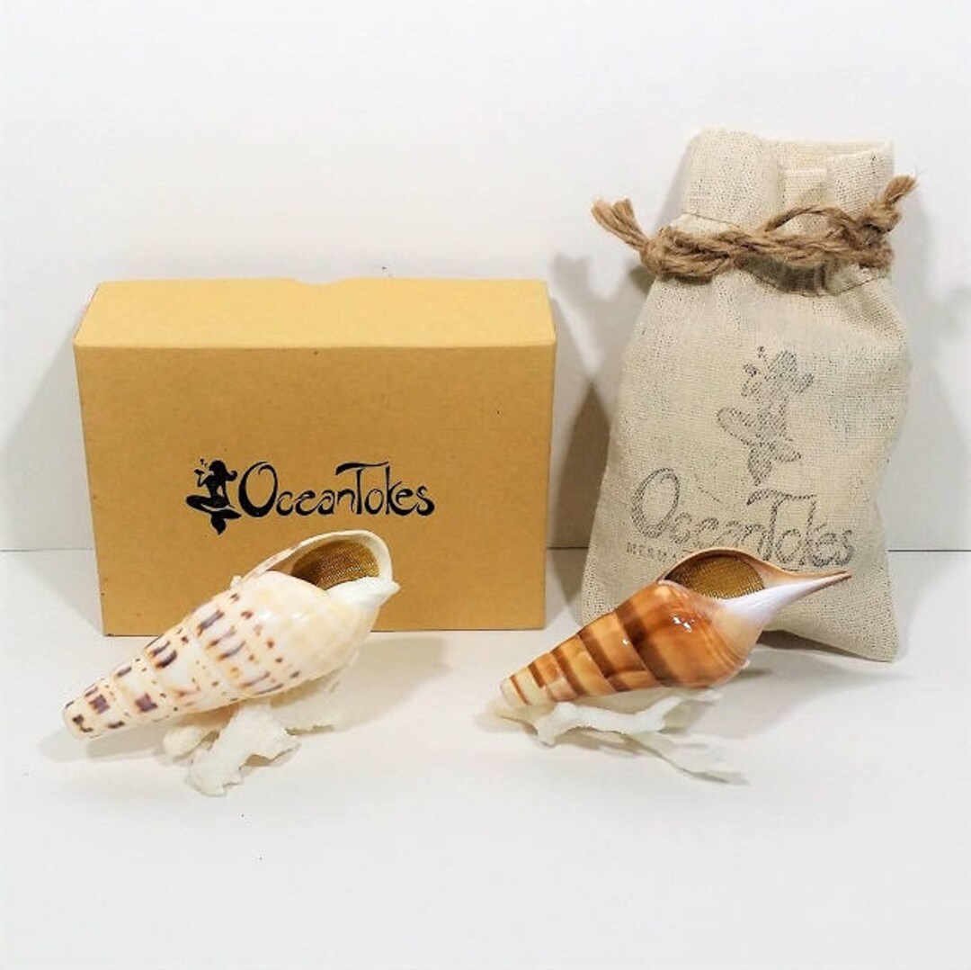 PICK 2 Smoking Pipe Sea Shell Pipe Mermaid Gifts Gifts for Smokers Corn ...