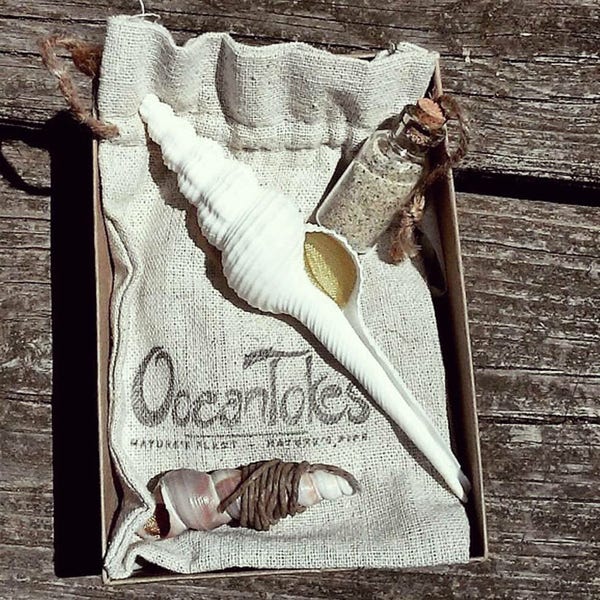 Seashell Pipe - Etsy