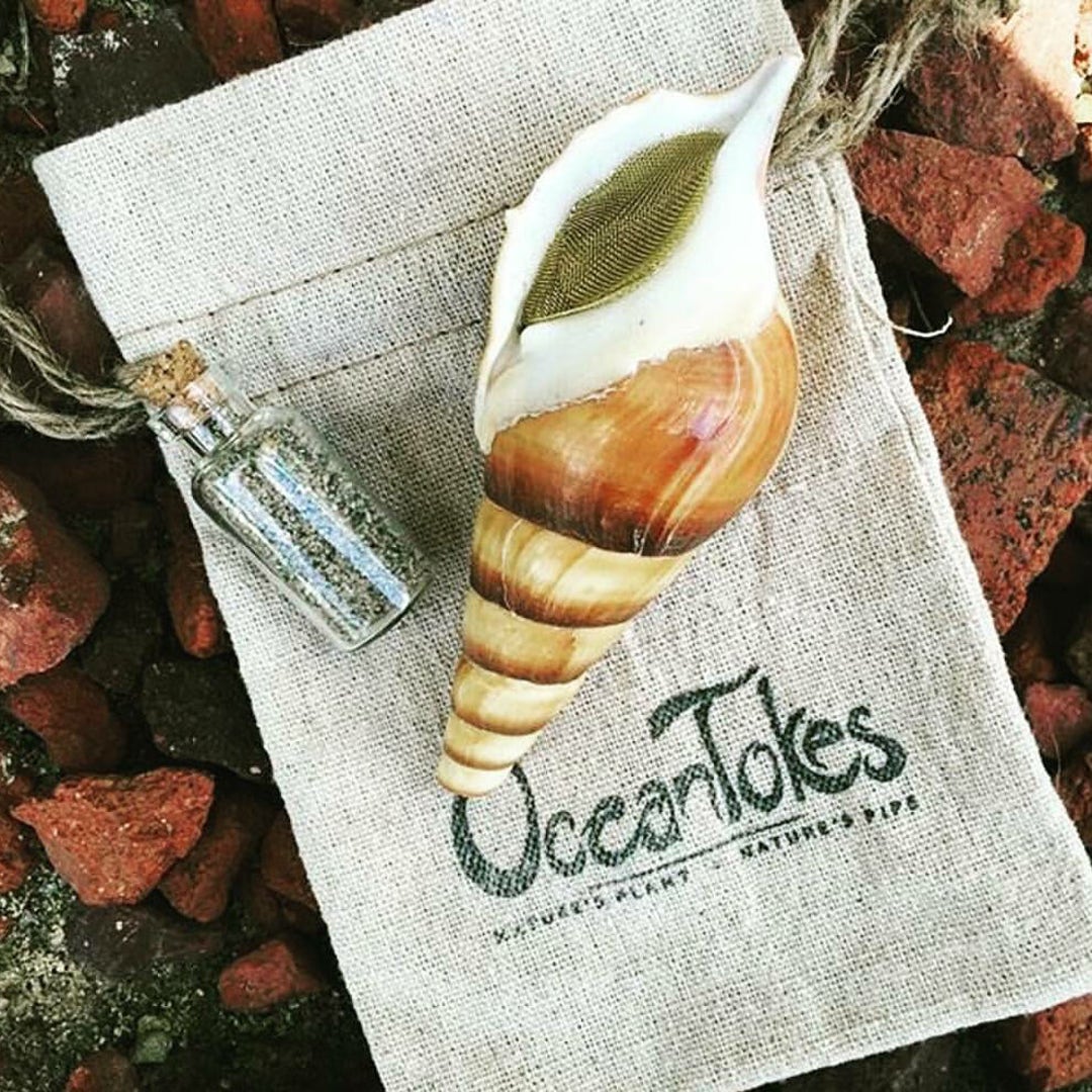 Real Seashell Hand Pipe - Sea Shell Smoking Pipe Hand Made Gifts for ...