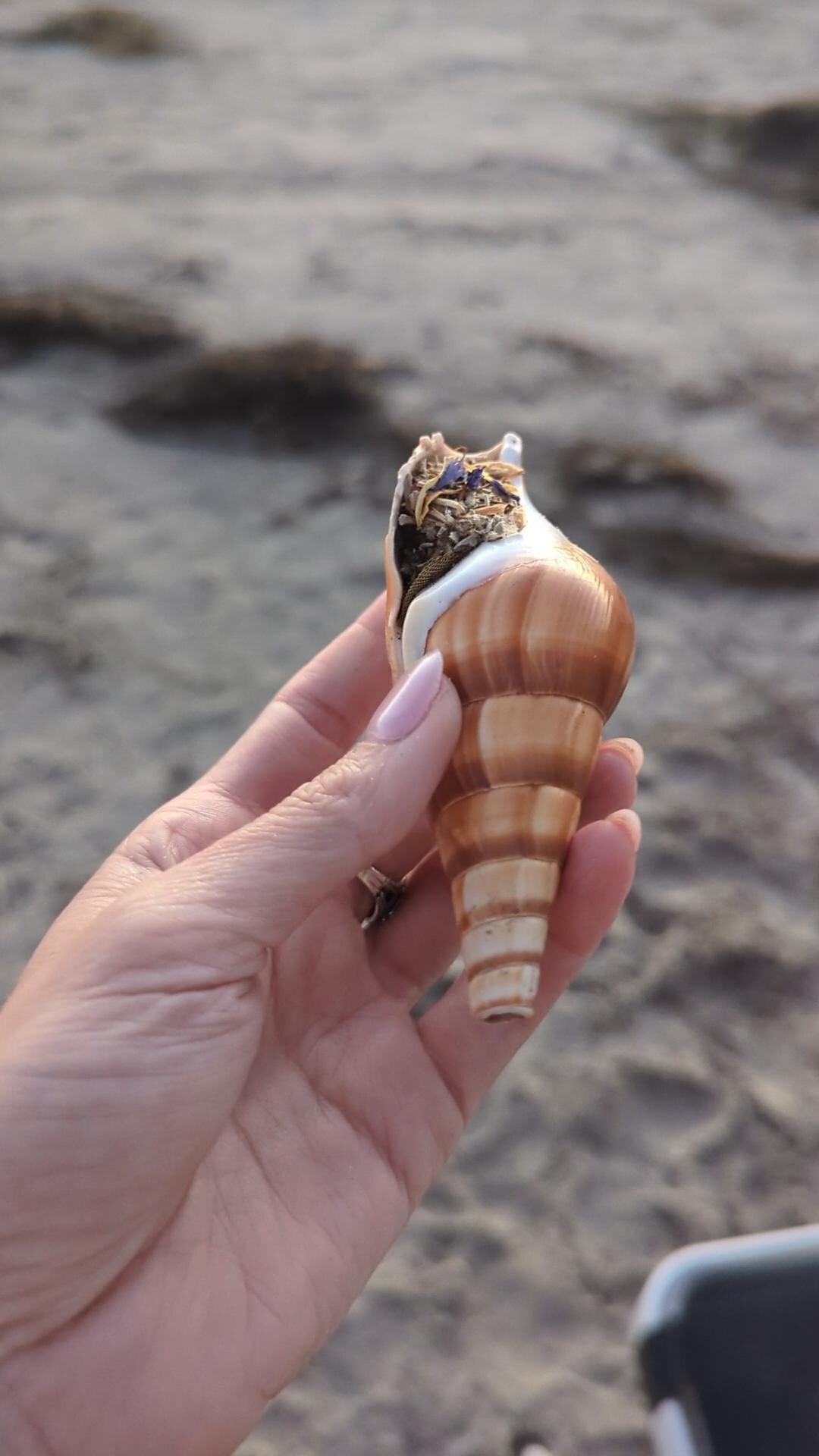 Mermaid Smoking Pipe - Handmade Seashell Tobacco Pipe by Oceantokes ...