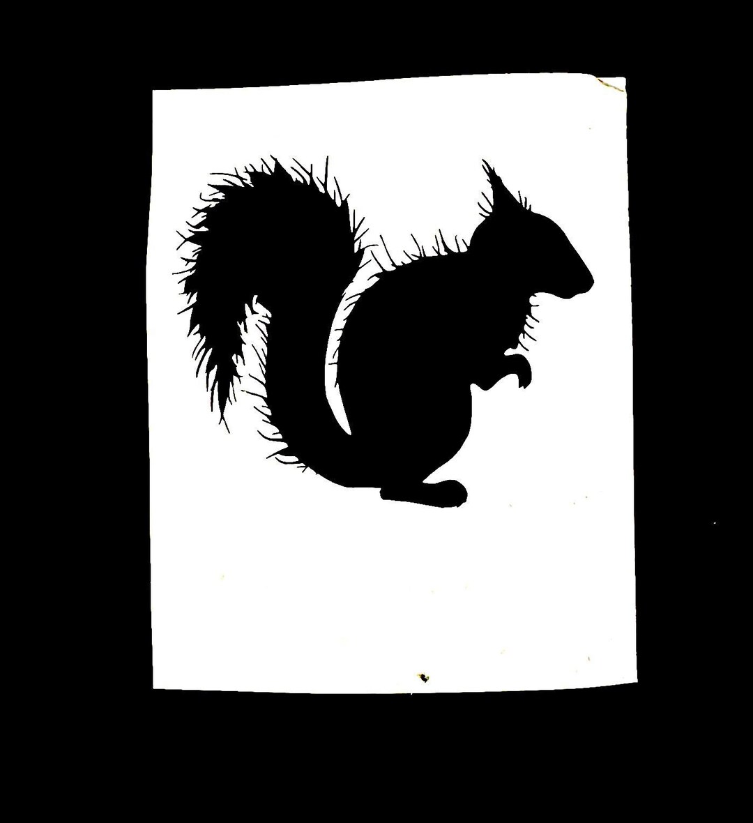 DIY Squirrel Vinyl Decal - Etsy