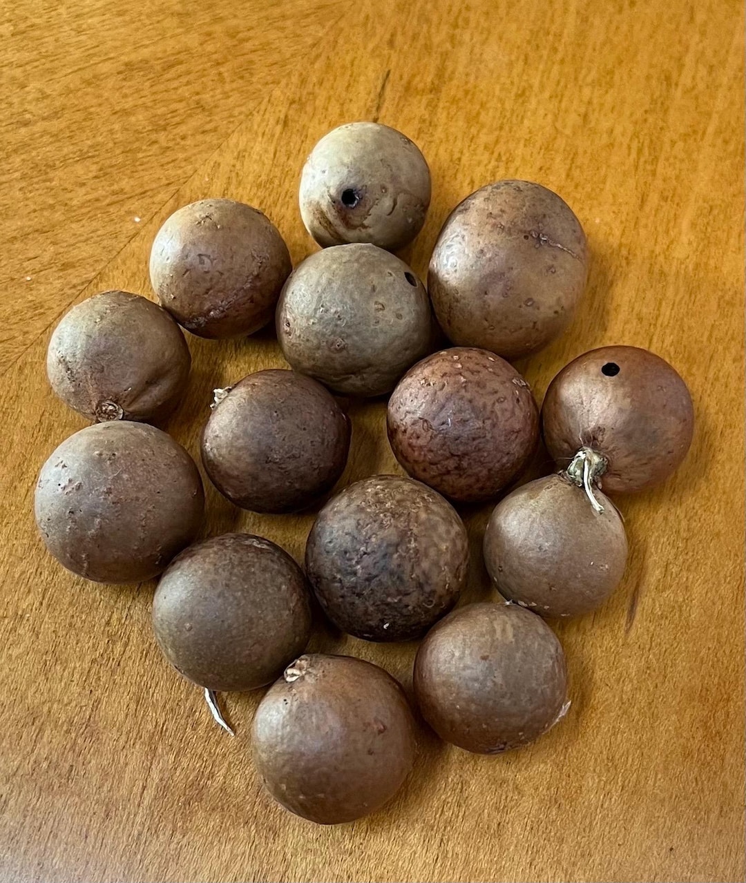 Scottish Oak Galls 20g 14 or More Balls - Etsy