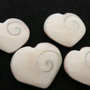 1 X Shiva Heart Shell Sacred Symbol - Etsy