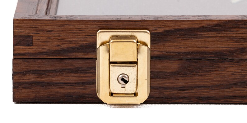 Two Timbers Extra Large Display Case With Walnut Finish - Etsy