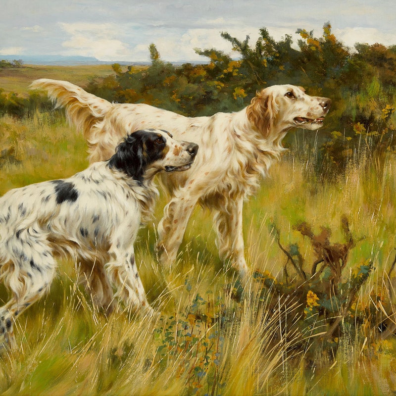 English Setter Paintings - Etsy