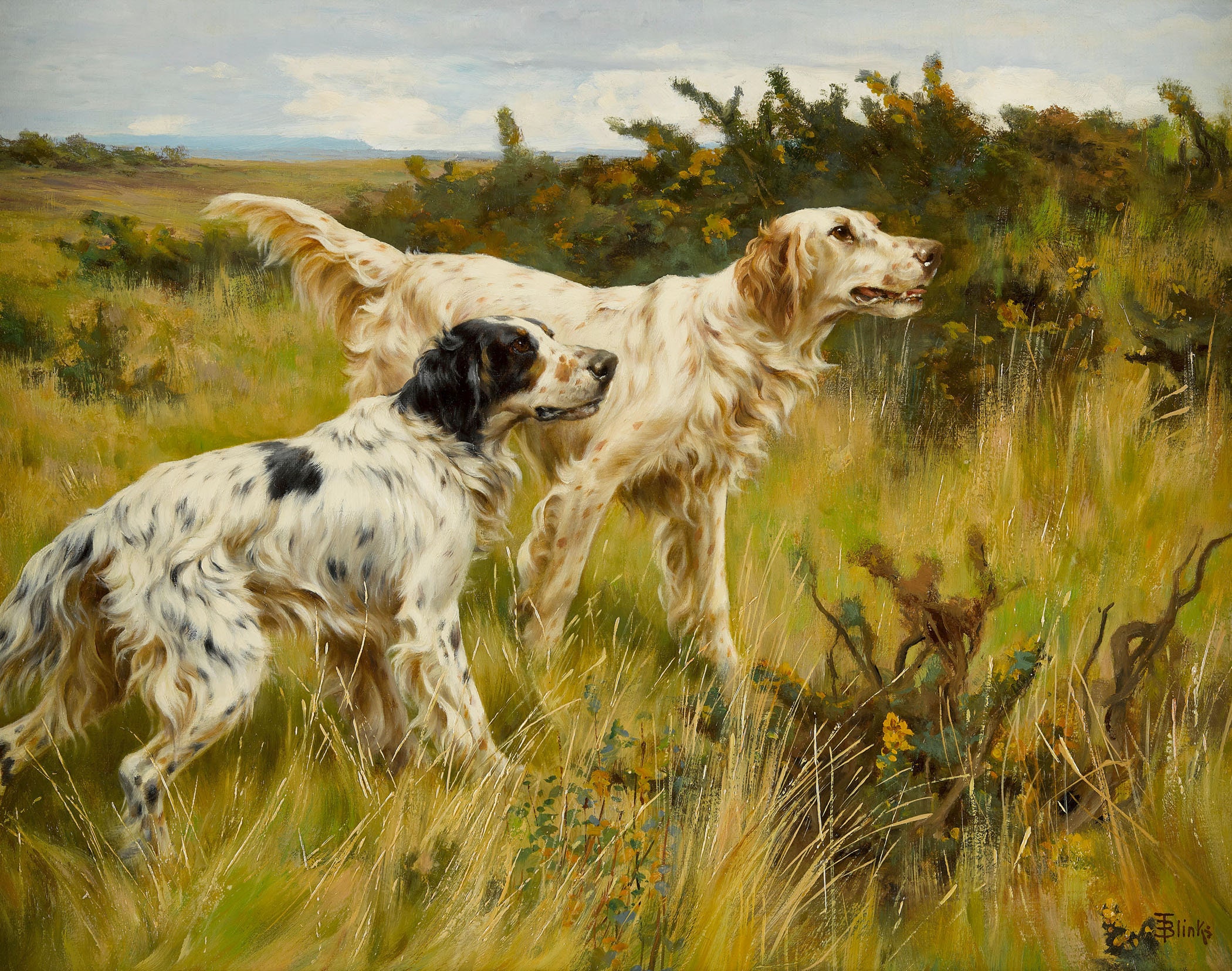 English Setter Hunting