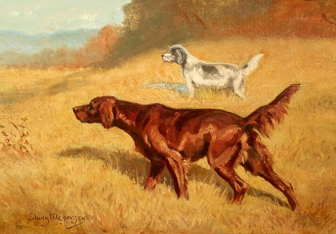 English and Irish Setters - 1930s Hunting Dogs Painting - Edwin ...