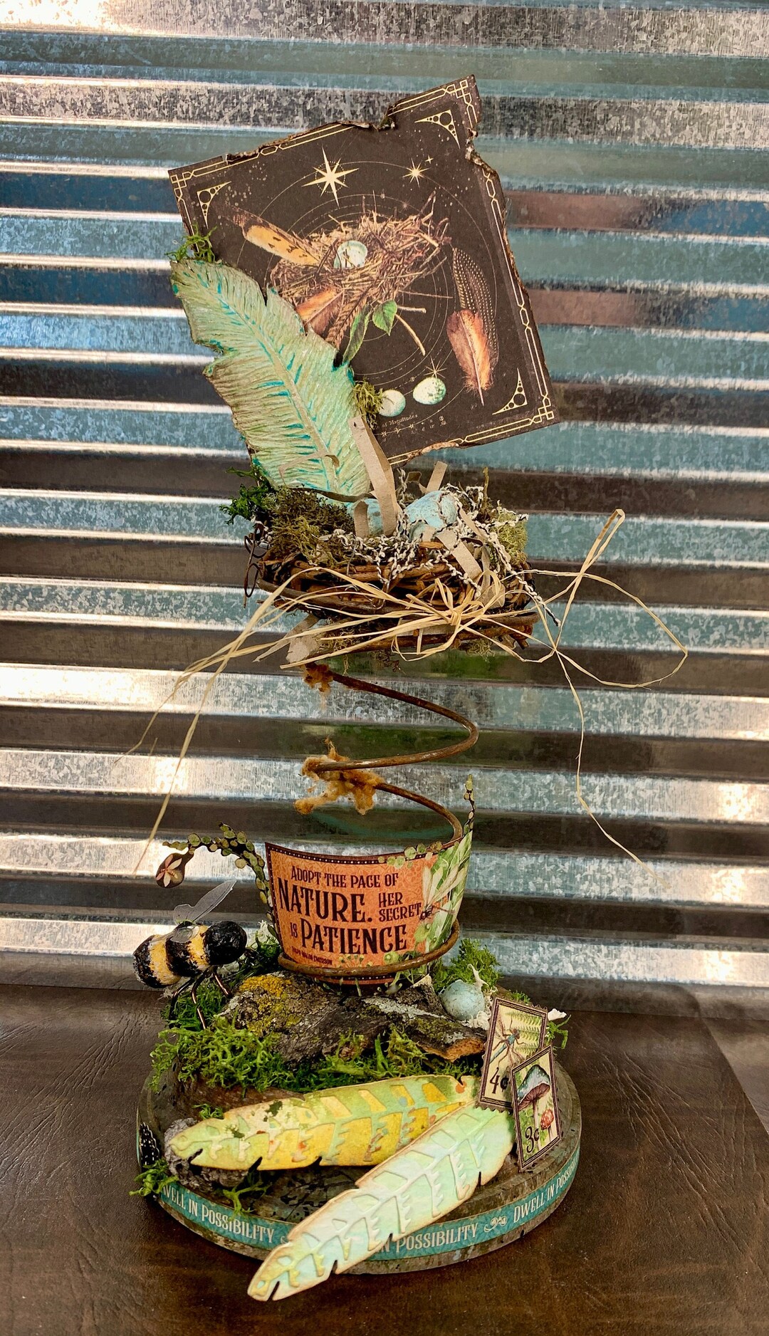 A Nature Lovers Look at "patience", Bees, Feathers, Nest and Sweet Wee ...