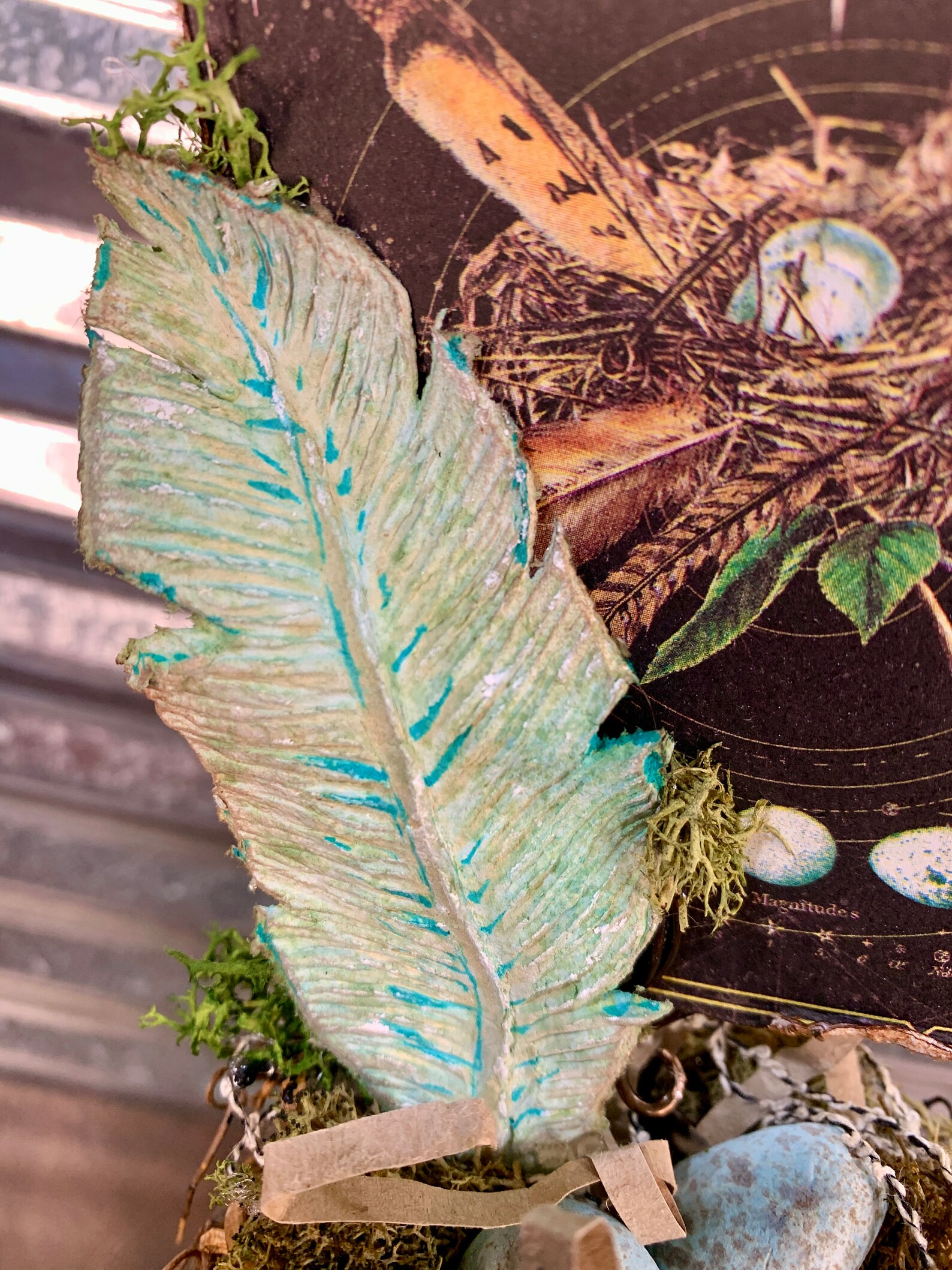 A Nature Lovers Look at patience, Bees, Feathers, Nest and Sweet Wee ...