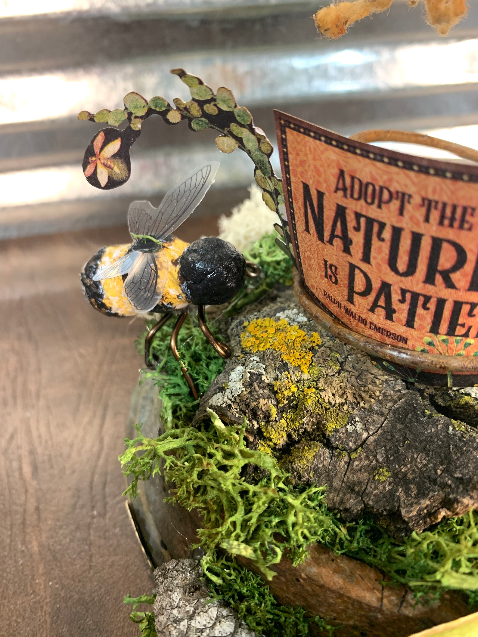 A Nature Lovers Look at patience, Bees, Feathers, Nest and Sweet Wee ...