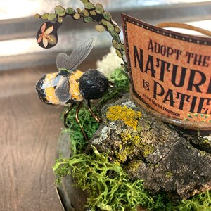 A Nature Lovers Look at "patience", Bees, Feathers, Nest and Sweet Wee ...