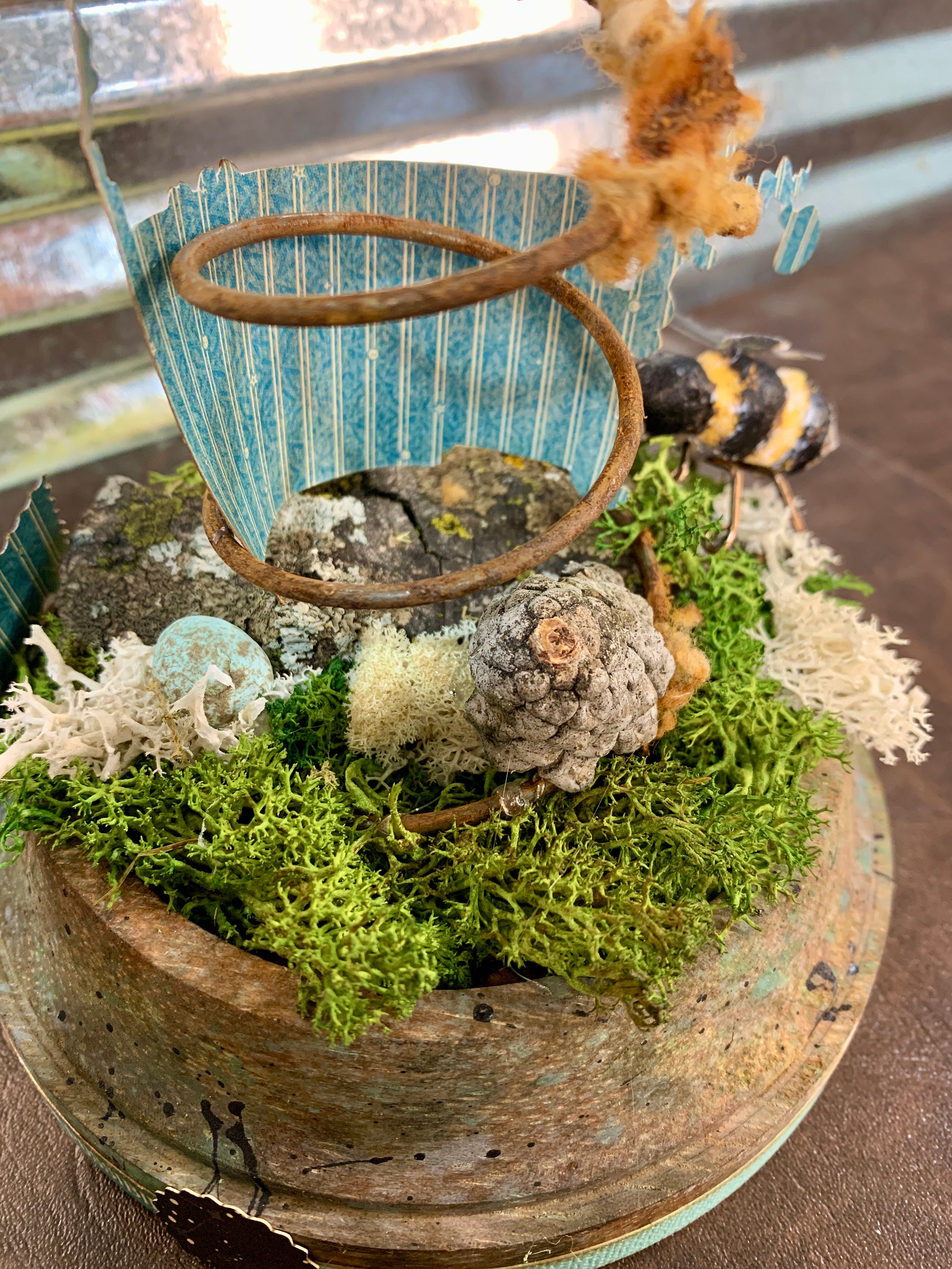 A Nature Lovers Look at patience, Bees, Feathers, Nest and Sweet Wee ...