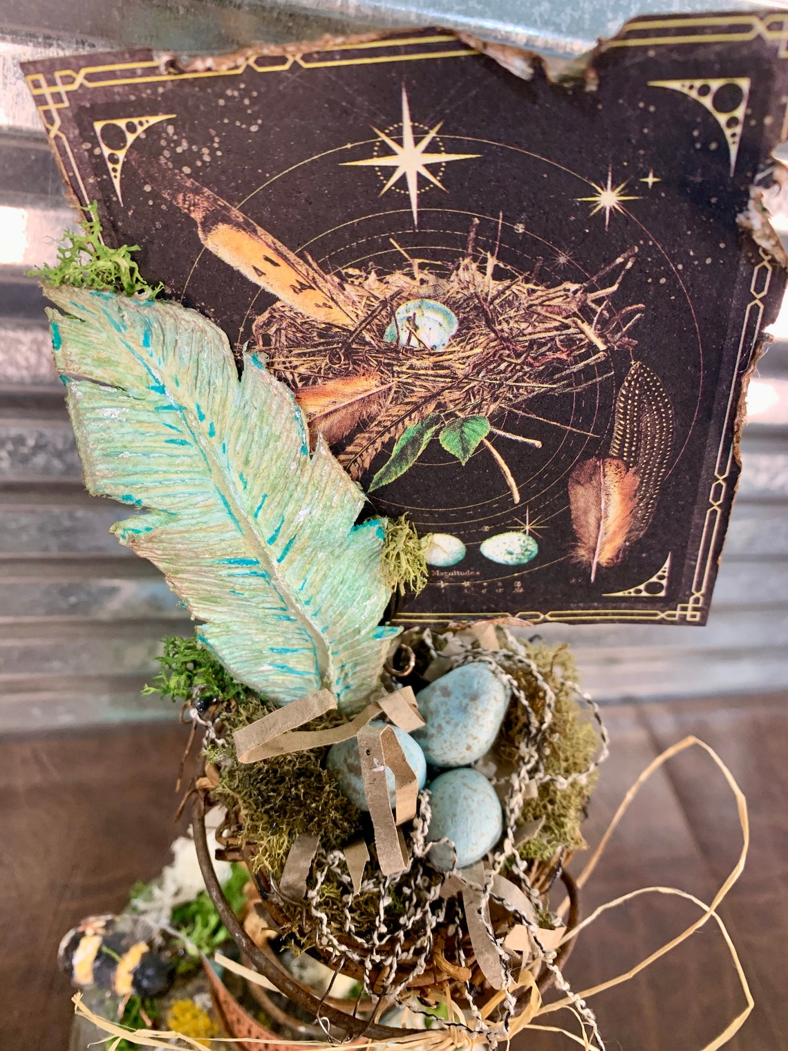 A Nature Lovers Look at patience, Bees, Feathers, Nest and Sweet Wee ...