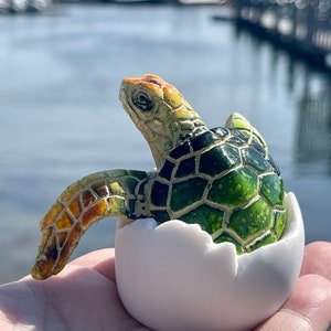 Hatching Sea Turtle Displays - Etsy