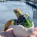 Hatching Sea Turtle Displays - Etsy