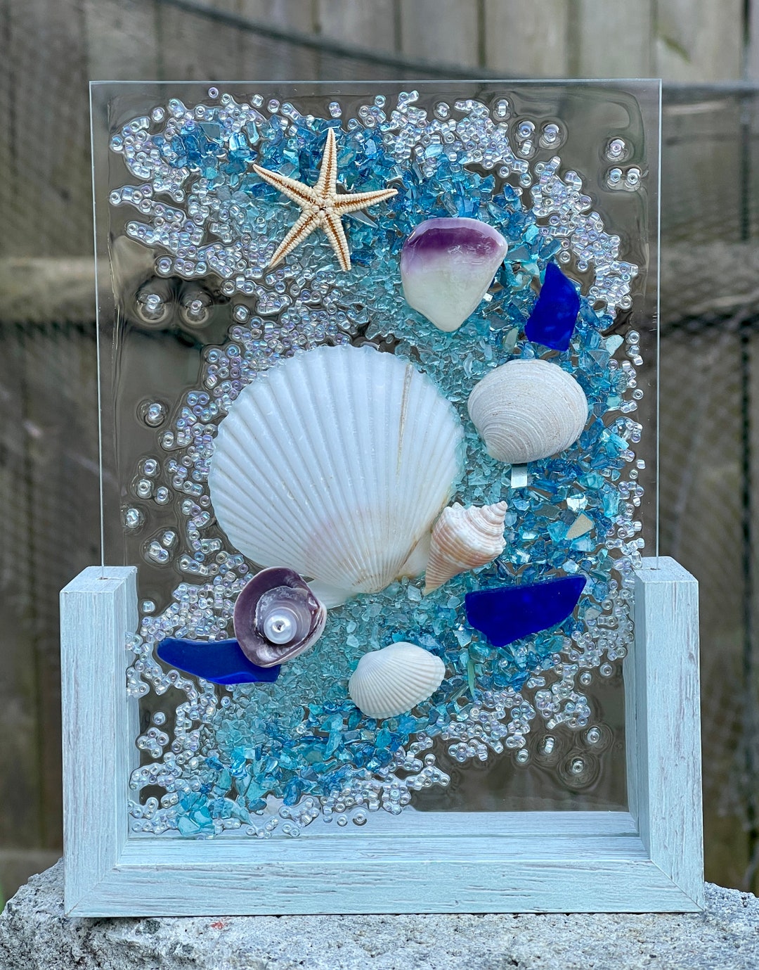 Sea Shell Stand - Etsy