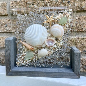 Sea Shell Stand - Etsy