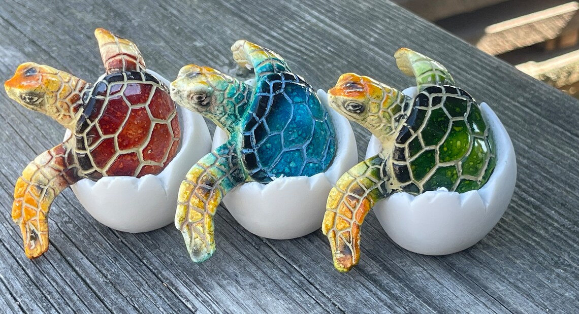 Hatching Sea Turtle Displays - Etsy