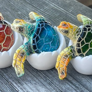 Hatching Sea Turtle Displays - Etsy