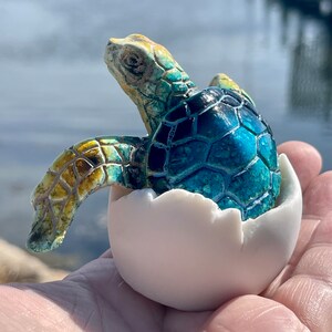 Hatching Sea Turtle Displays - Etsy