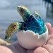 Hatching Sea Turtle Displays - Etsy