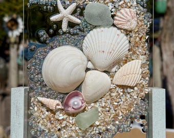 Sea Shell Stand - Etsy