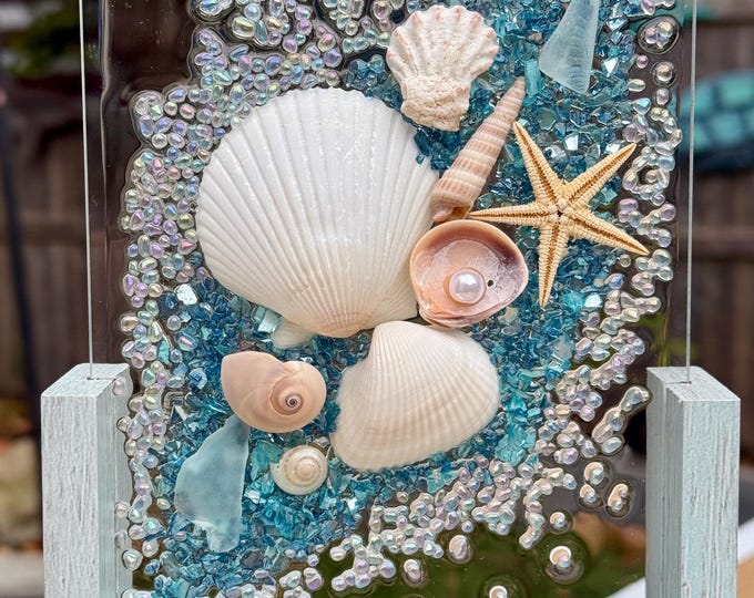 Sea Shell Stand - Etsy
