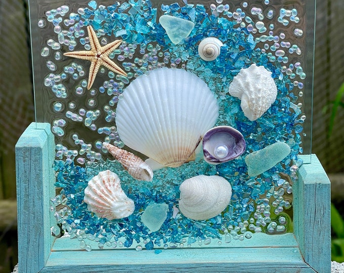 Sea Shell Stand - Etsy