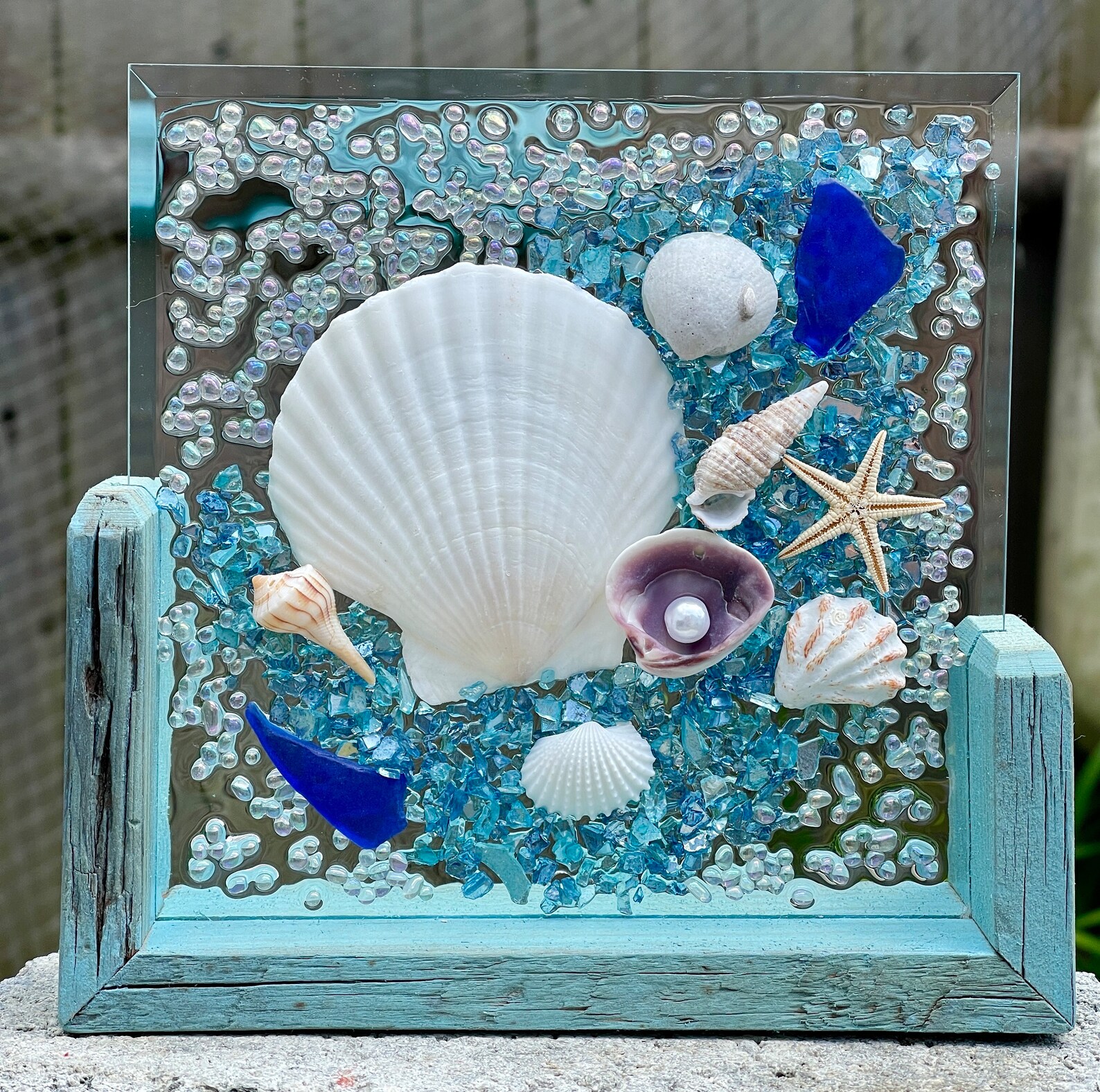 Sea Shell Stand - Etsy