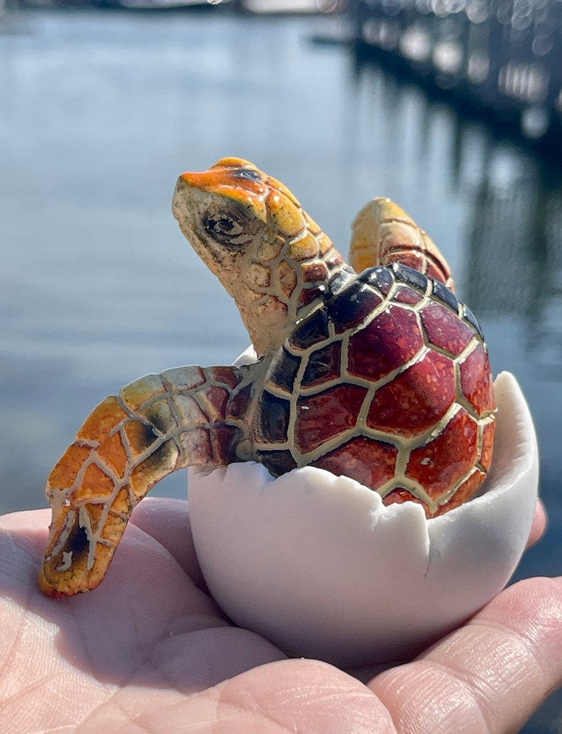 Hatching Sea Turtle Displays - Etsy