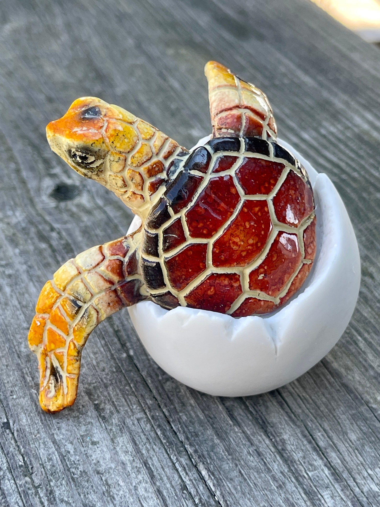 Hatching Sea Turtle Displays - Etsy