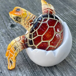 Hatching Sea Turtle Displays - Etsy