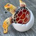 Hatching Sea Turtle Displays - Etsy
